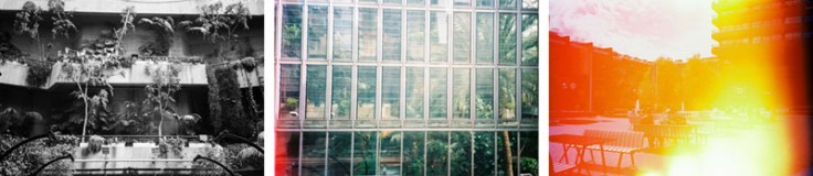 The Barbican Conservatory - CINZIA BRUSCHINI